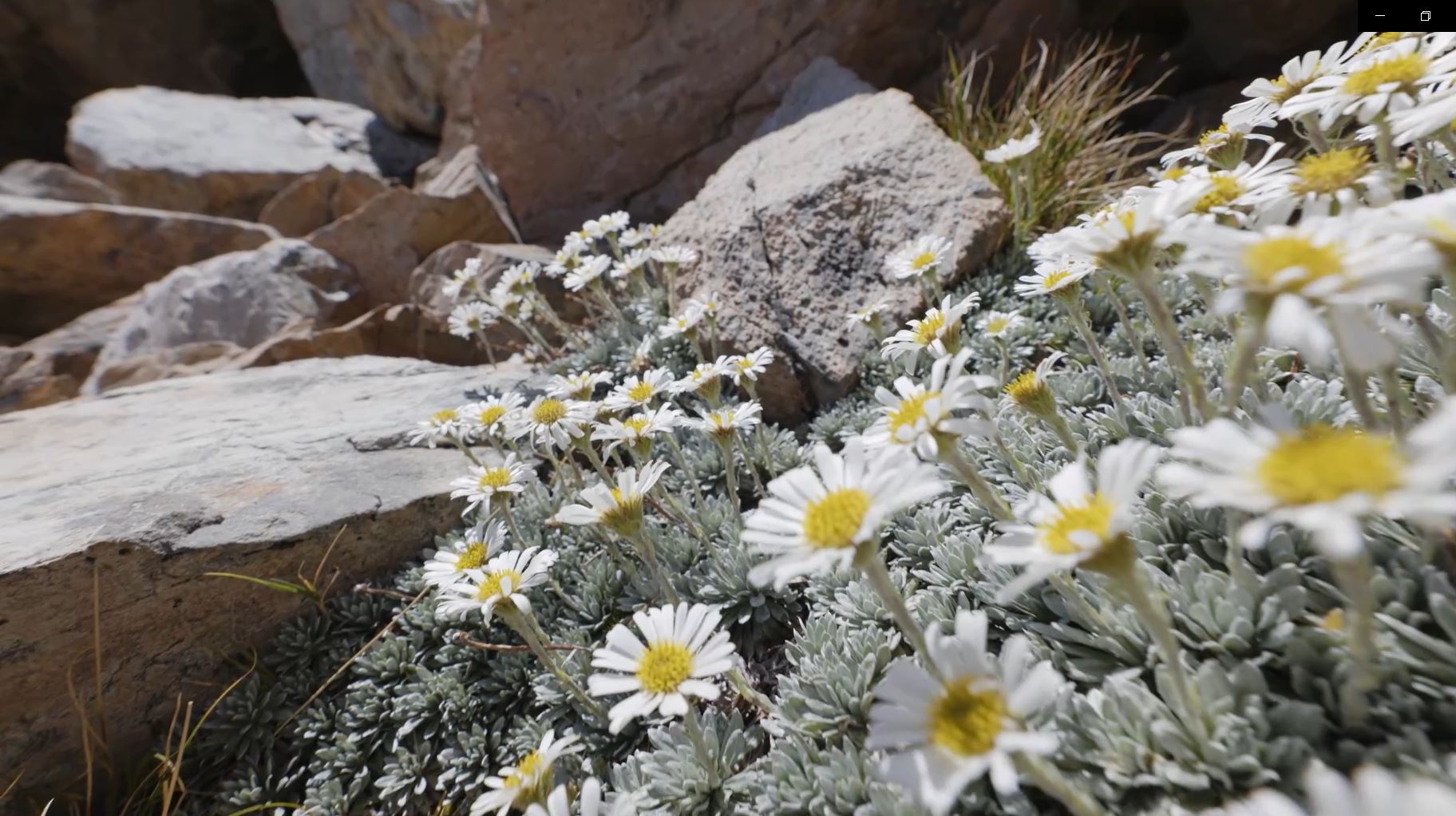 Hiking Mueller Hut Track | Hermitage Hotel